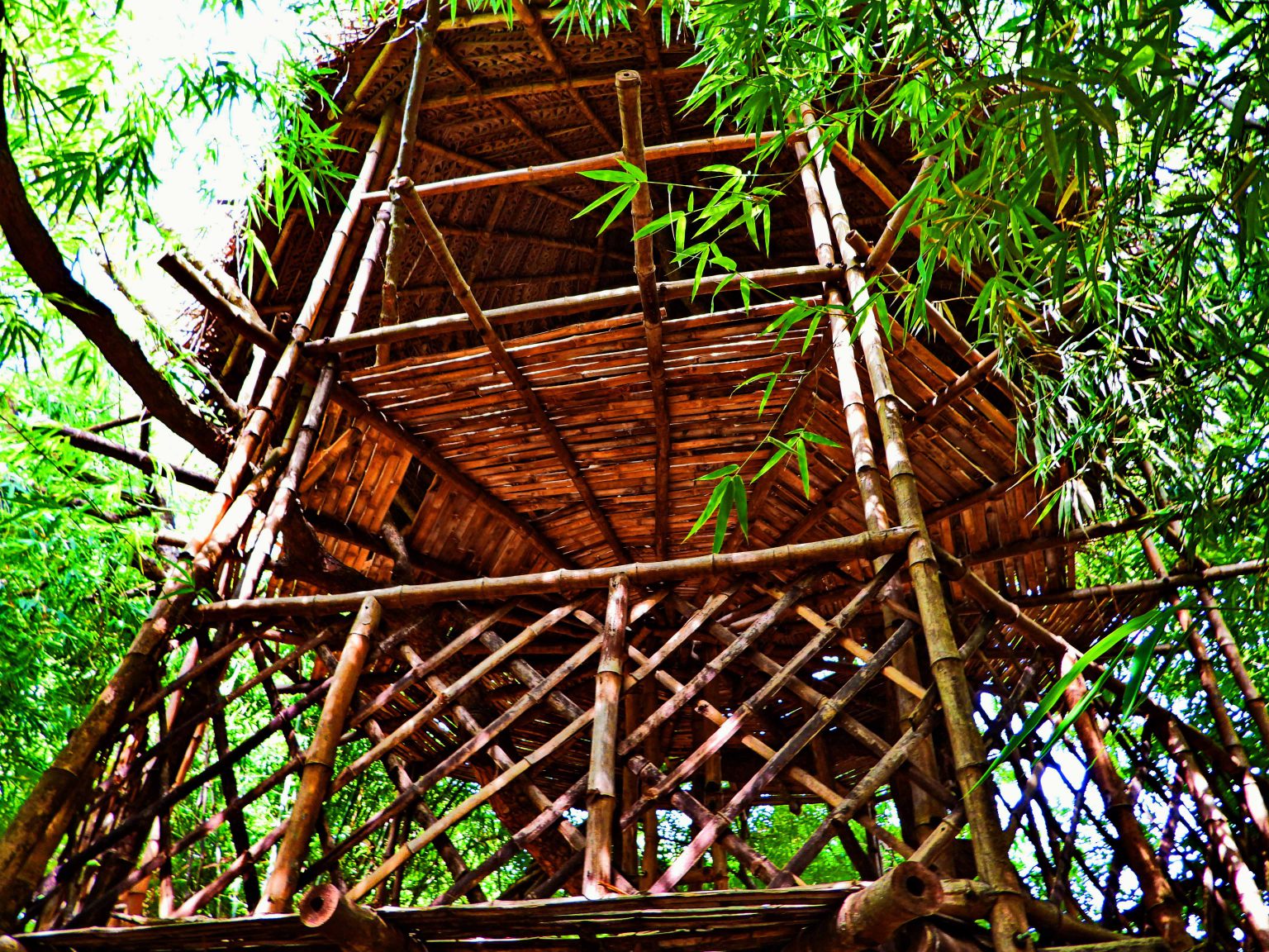 Bamboo Tree House Workshop – Auroville Bamboo Centre