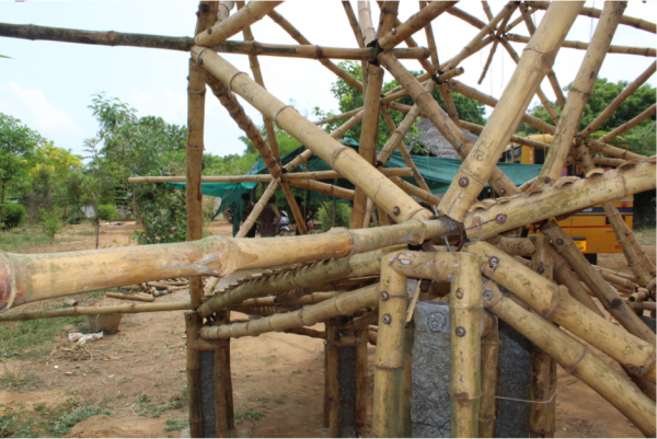 Growing Bamboo Tower – Neema Biju Jose – Auroville Bamboo Centre