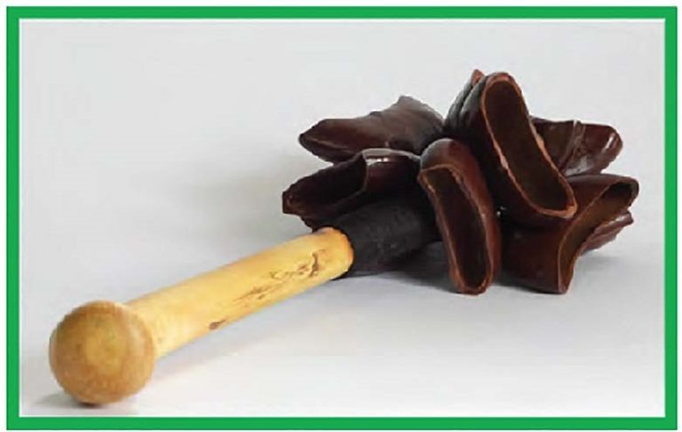 Rattle (L) – Auroville Bamboo Centre